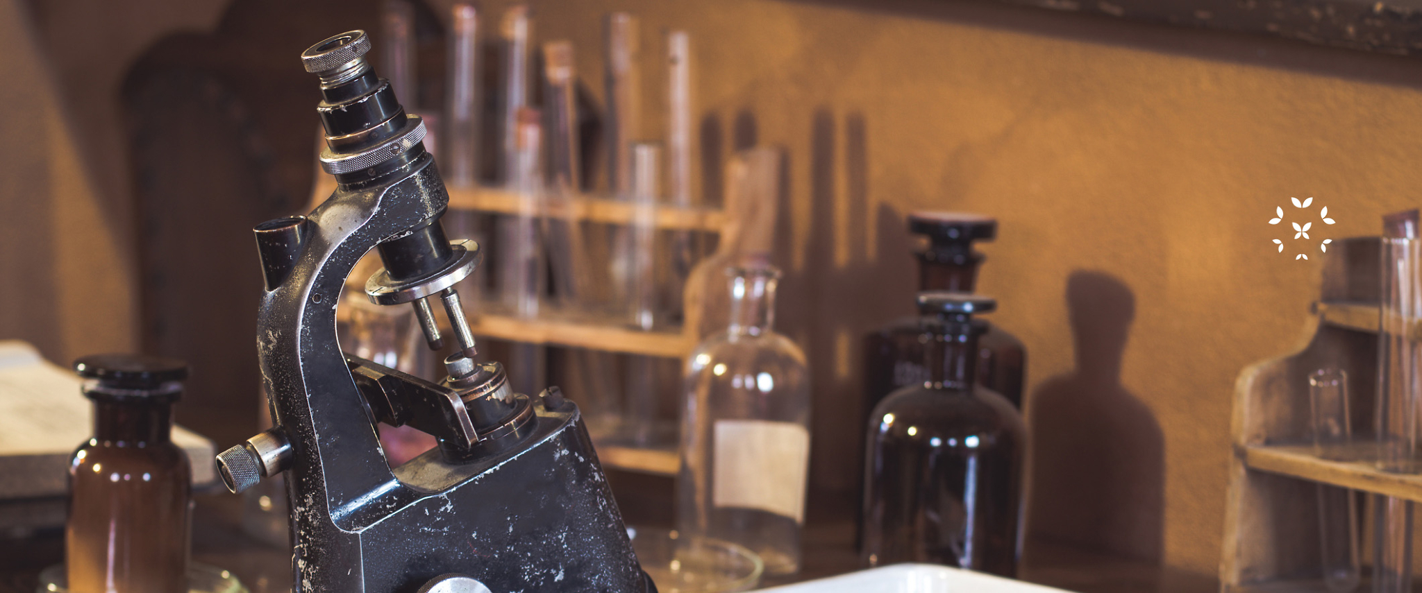 A Brief History of Lupus - Kaleidoscope Fighting Lupus