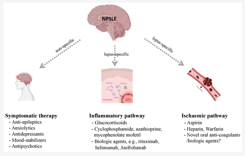 Neuropsychiatric Lupus - Kaleidoscope Fighting Lupus